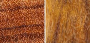 Madeira de Cumaru - Schreiner Madeiras